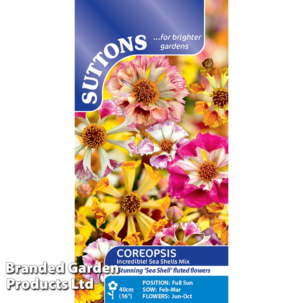 Coreopsis Incredible! Sea Shells Mix – Seeds | Garden Nurseries : UK ...