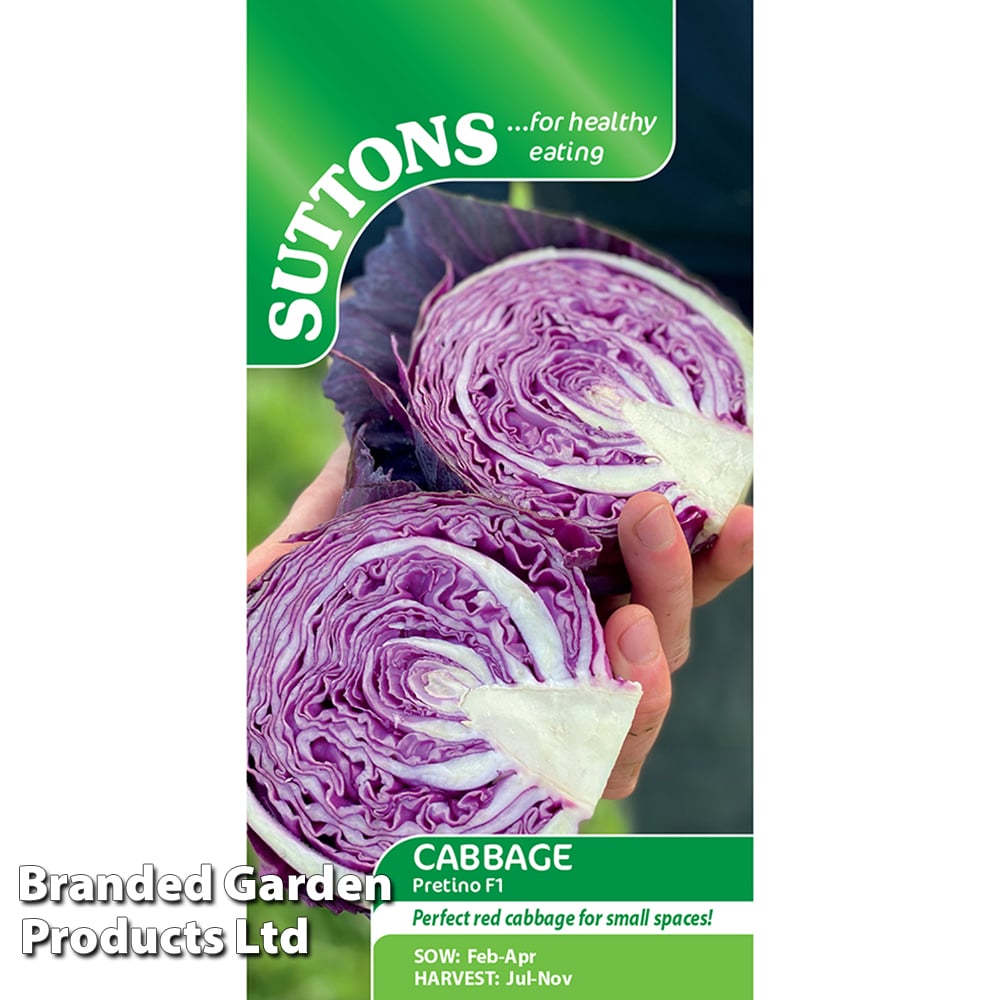 Cabbage ‘Pretino’ F1 – Seeds | Garden Nurseries : UK Garden Centre ...