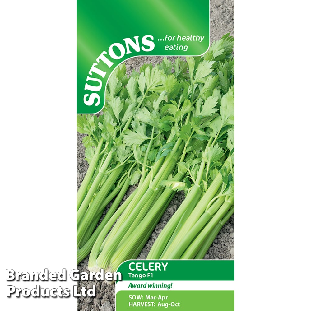 Celery ‘Tango’ F1 – Seeds | Garden Nurseries : UK Garden Centre ...