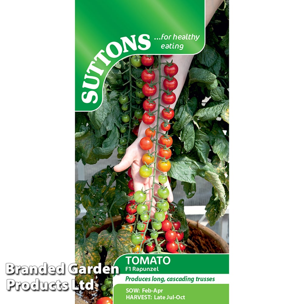 Tomato Rapunzel F1 – Seeds | Garden Nurseries : UK Garden Centre ...